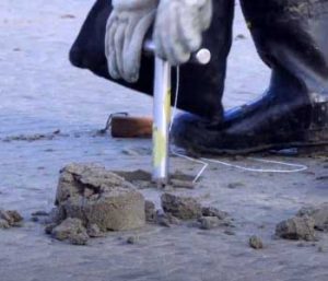 Clam Hawk Vs. Claminator: Which One Is The Best Clam Gun?