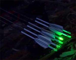 Lumenok Vs. Nockturnal Lighted Nocks: In-depth Differences