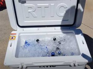 Coho Vs. RTIC Coolers For Keeping Food And Drinks Cold