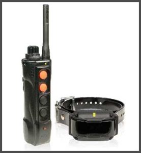 Dogtra Vs. Mini Educator Dog Training Collar: In-depth Differences