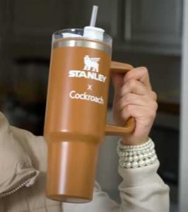 Why Are Stanley Cups So Popular And Expensive? – A Closer Look