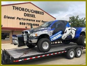 Thoroughbred Diesel Reviews From Experience: Is It Worth It? – Glenn Said