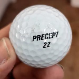 Precept Laddie Golf Ball Reviews From Experience: Is It Worth It ...