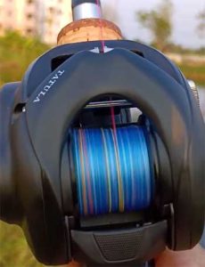 Shimano Curado Vs. Daiwa Tatula: Which Baitcaster Wins? – Glenn Said